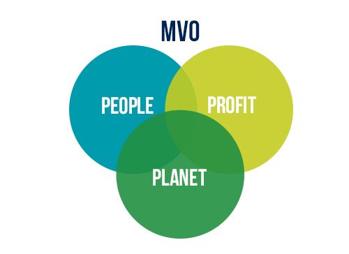 MVO - Seworks